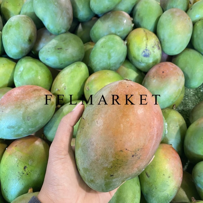 Jual Mangga Irwin Super / Mangga Brazil / 1 Kg | Shopee Indonesia