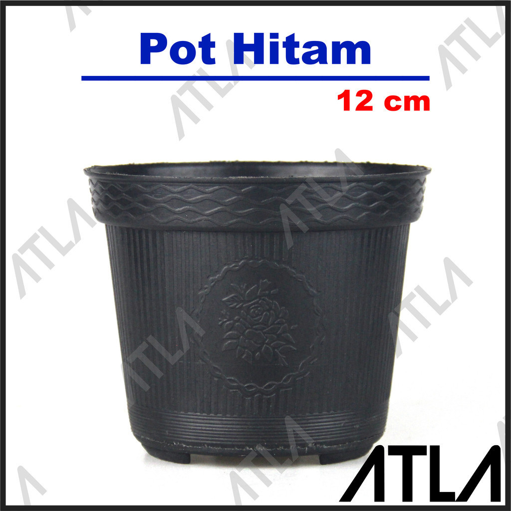 Jual Pot Plastik 12 cm Hitam Bulat Wadah Tanaman Bunga Tanaman Hias ...