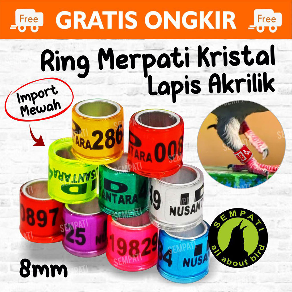 Jual SEMPATI Ring Merpati Kristal Ring Kaki Burung Merpati Balap Bahan ...