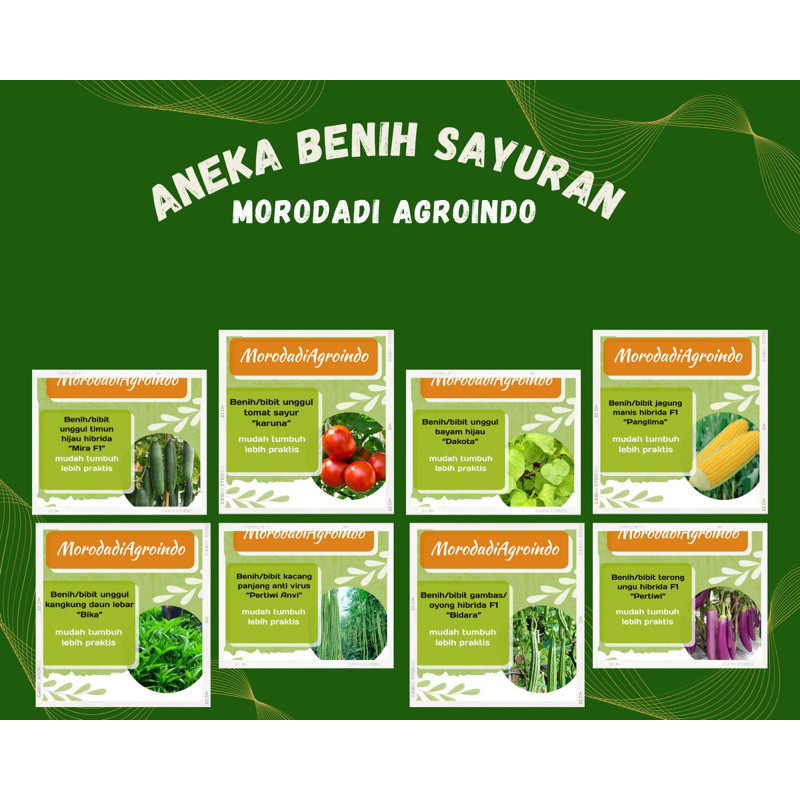 Jual Benih sayuran Timun, tomat, kacang panjang, bunga kol, gambas ...