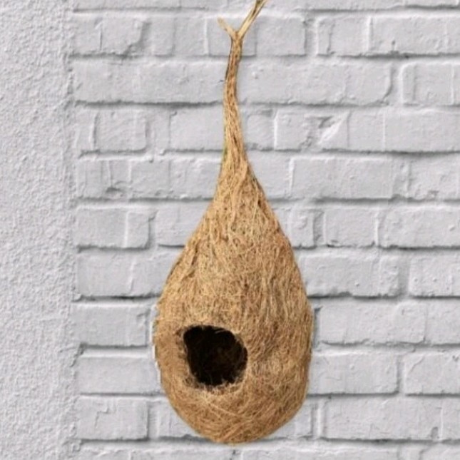 Jual SARANG BURUNG SERABUT KELAPA GANTUNG TEMPAT BERTELUR BURUNG ...