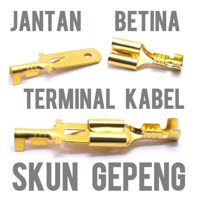 Jual Isi 100 Pcs Skun Kuningan Jantan Betina Model Gepeng Ukuran Besar ...