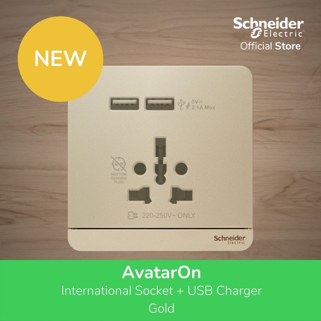 Jual Schneider Electric AvatarOn Int Socket 16A USB 2.1A - E8342616USB_WG | Shopee Indonesia