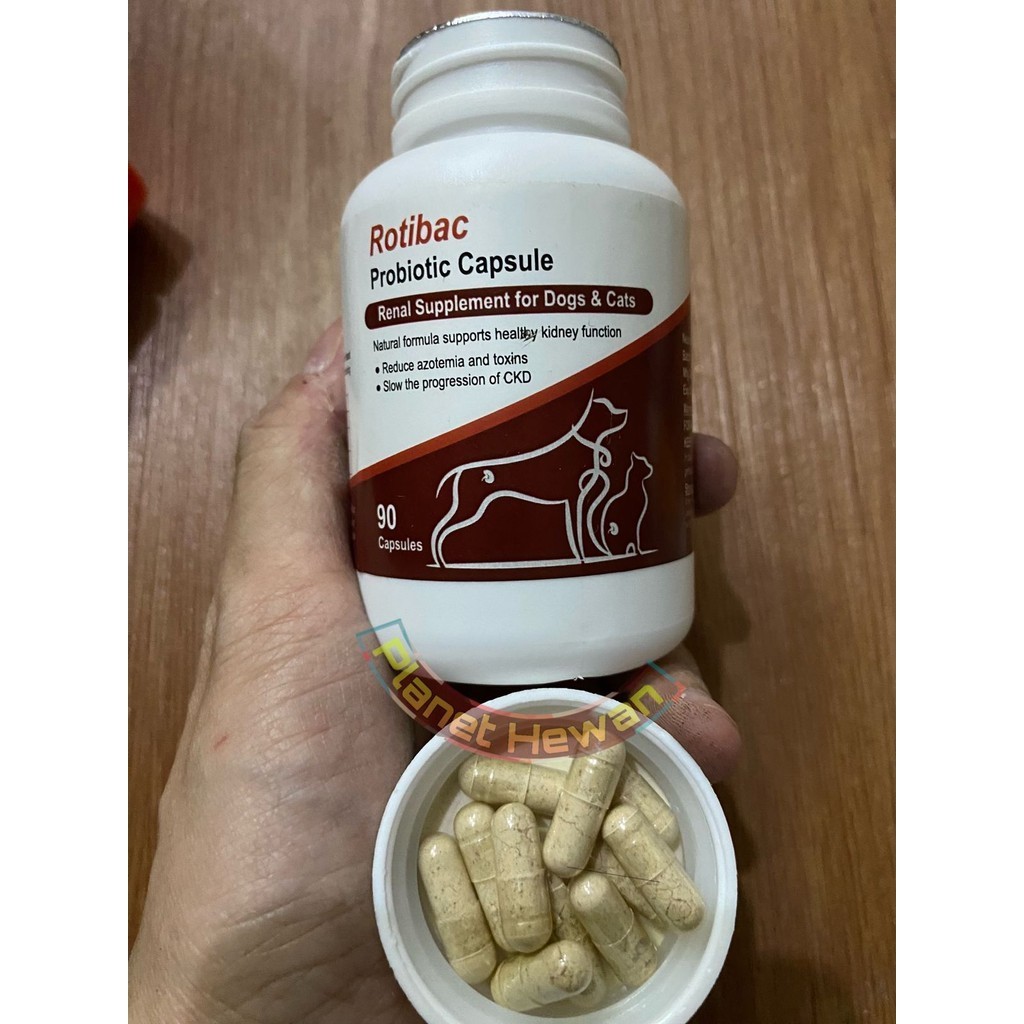 Jual Rotibac Probiotic Kapsul Suplemen Renal / Kidney / Ginjal Kucing ...
