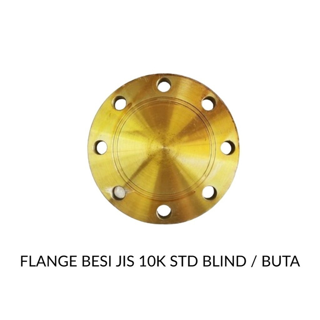 Jual Flange besi 6" inch jis 10k blind / buta Non standar / NS | Shopee ...