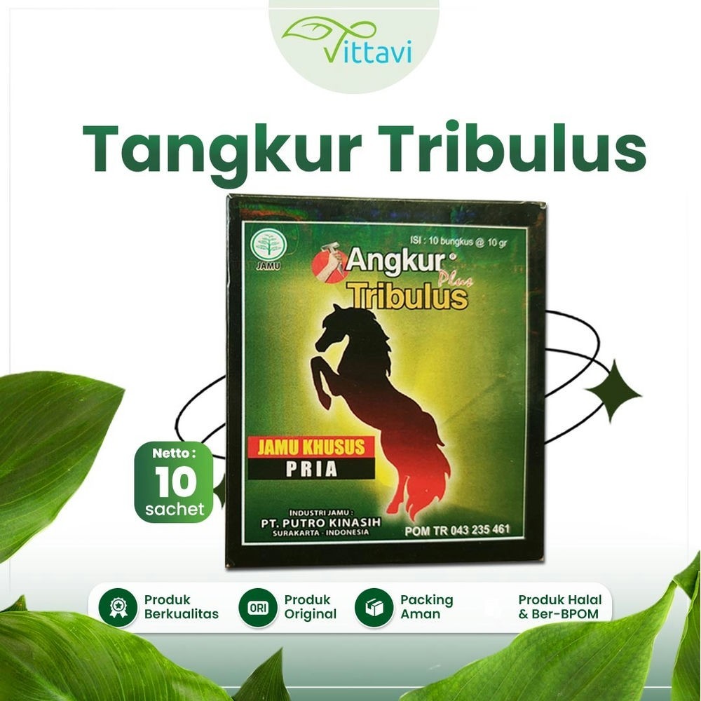 Jual Jamu Pria Angkur/Tangkur Plus Tribulus- Penambah Stamina dan ...