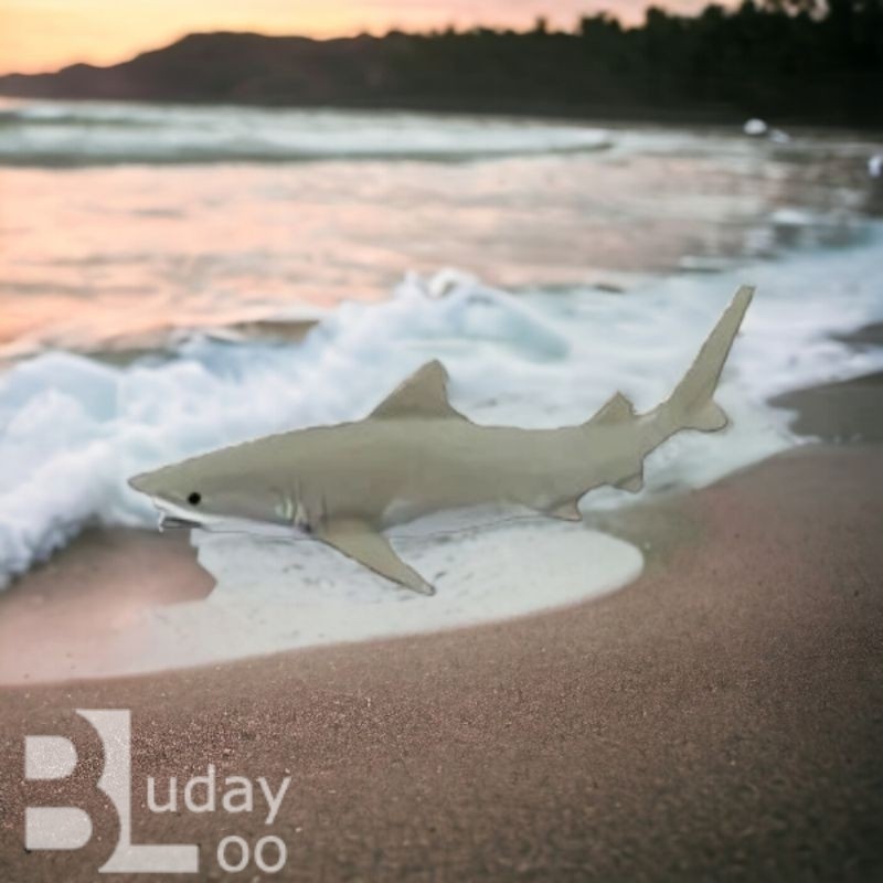 Jual Mainan Binatang Miniatur Ikan Hiu Macan Tiger Shark 8 cm c7 Maket ...