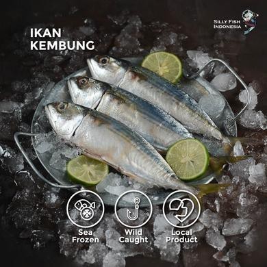 Jual IKAN KEMBUNG FROZEN Pack | Shopee Indonesia