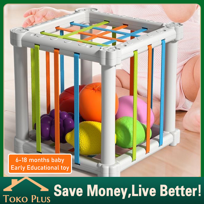 Jual Mainan Edukasi Sensorik Kerincing Play Taktil dan Propioseptif Set ...