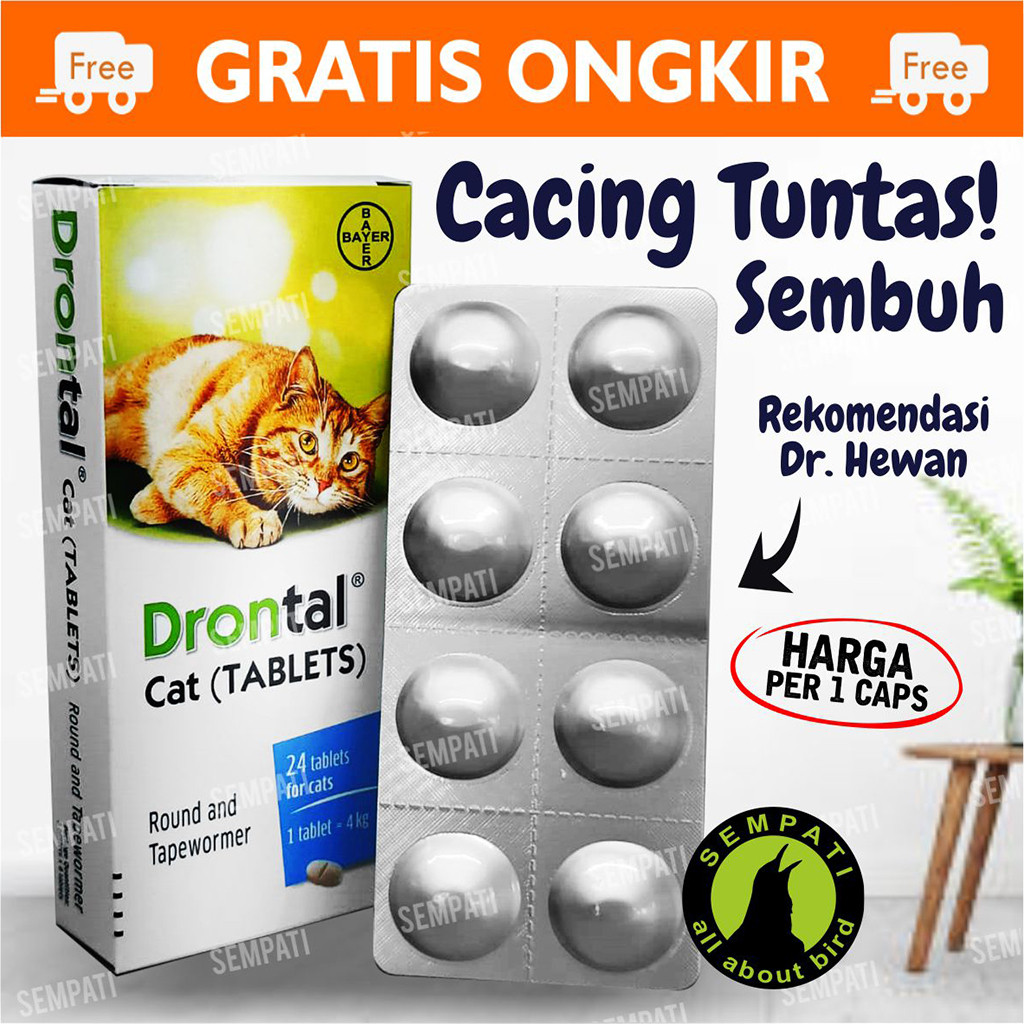 Jual SEMPATI Obat Cacing Kucing Kitten Obat Kucing Cacingan Anak Anakan ...