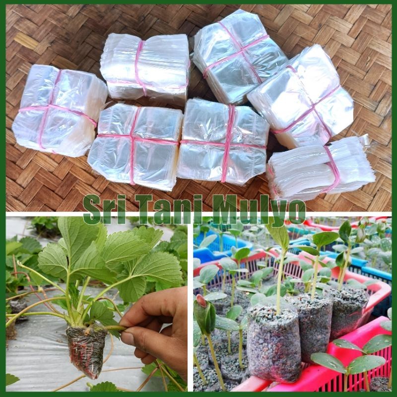 Jual Polybag Semai Kecil 1000 Lembar Plastik polibek / Polybag pot ...