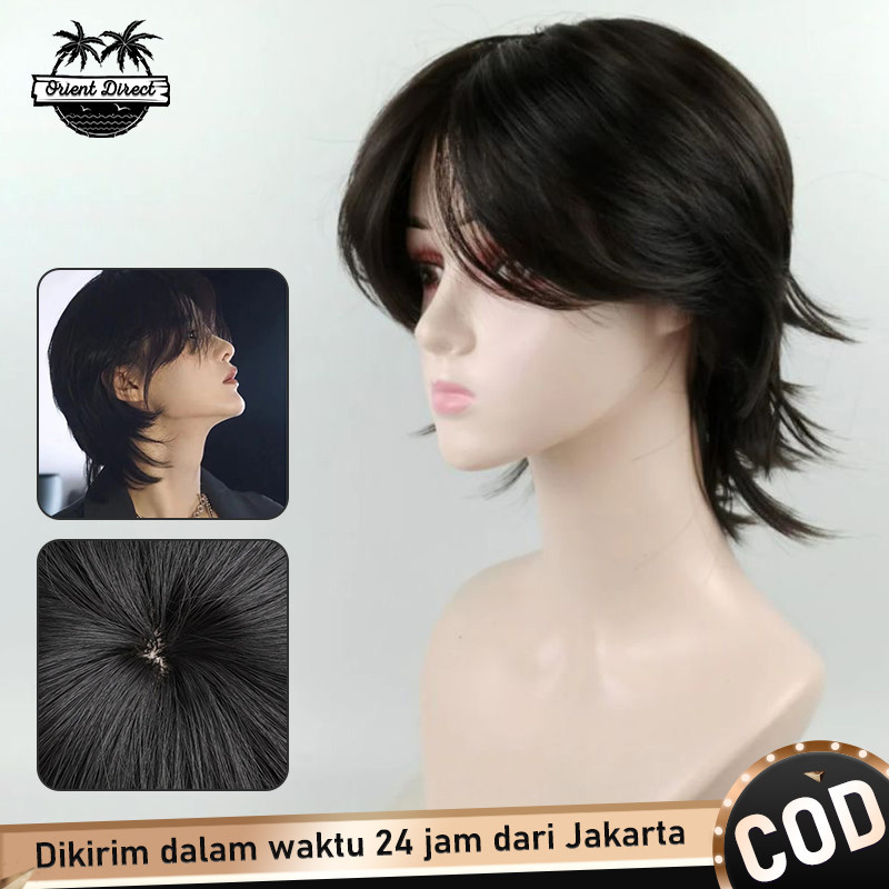 Jual Wig Pria Mullet Panjang Kuncir Rambut Palsu Cowok Rambut Pria ...
