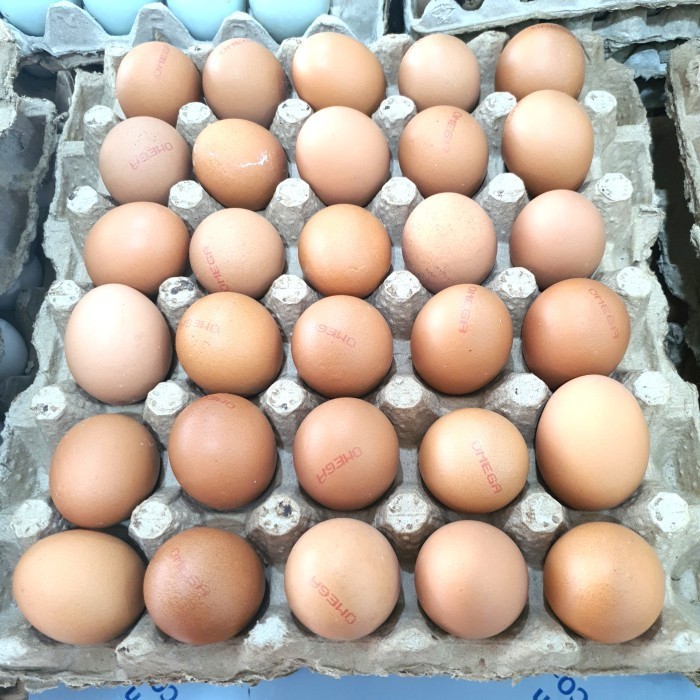 Jual Telur Ayam Negeri Omega 3 / Telor Negri Omega3 Per 1 Tray Isi 30 ...