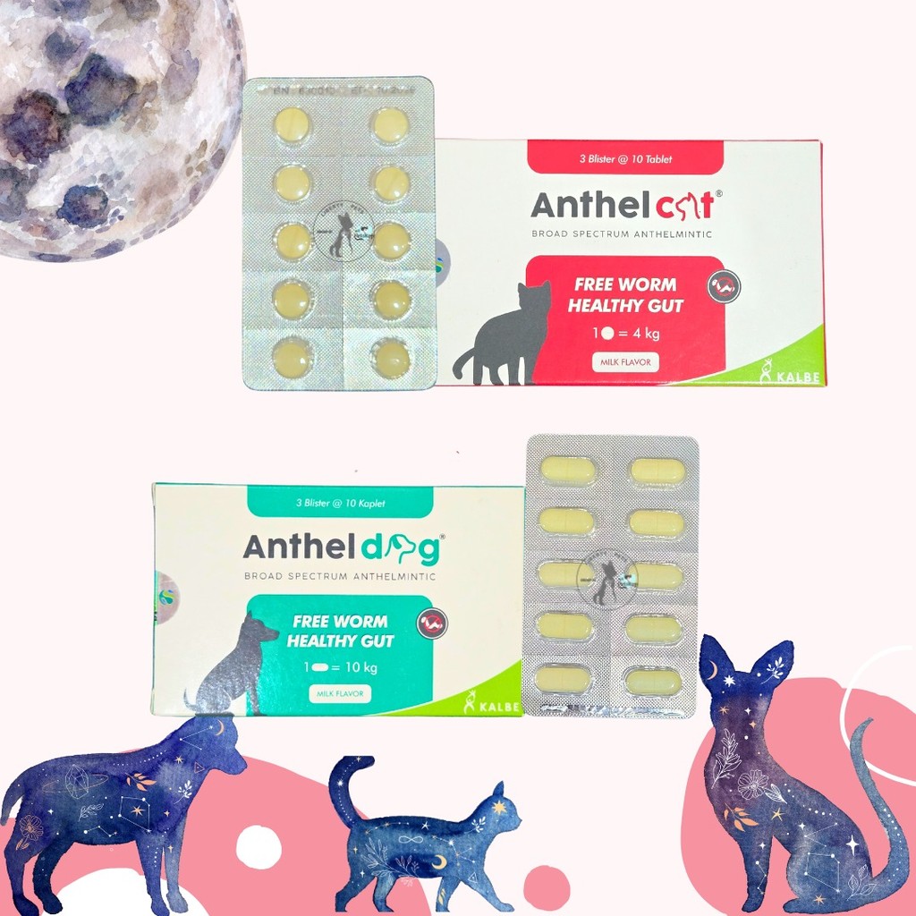 Jual Anthel Cat / Dog (1 BLISTER = 10 Tablet) Obat Cacing Kucing ...