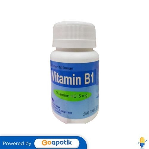 Jual Vitamin B1 Mega Esa Farma 5 Mg Botol 250 Tablet | Shopee Indonesia