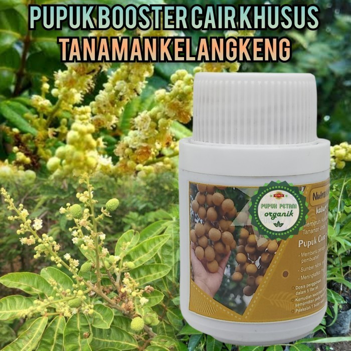 Jual NEW pupuk booster kelengkeng organik cair khusus buah kelengkeng | Shopee Indonesia