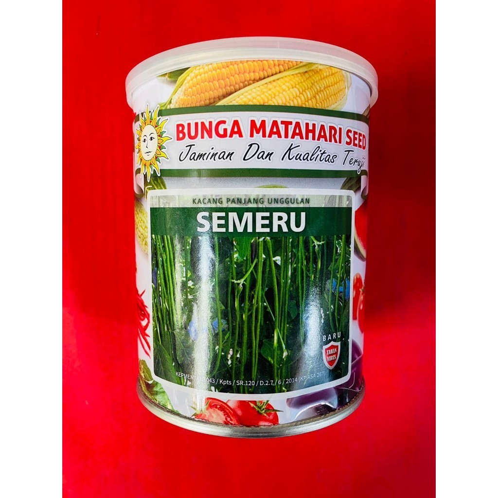 Jual Benih kacang panjang SEMERU unggul isi 500gr dari BUNGA MATAHARI ...