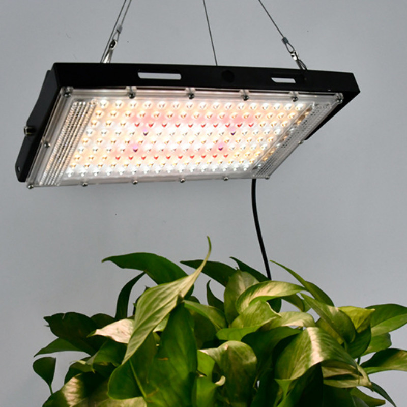 Jual Growing Light Full Spectrum Lamp LED Lights for Plants 400W Phyto ...