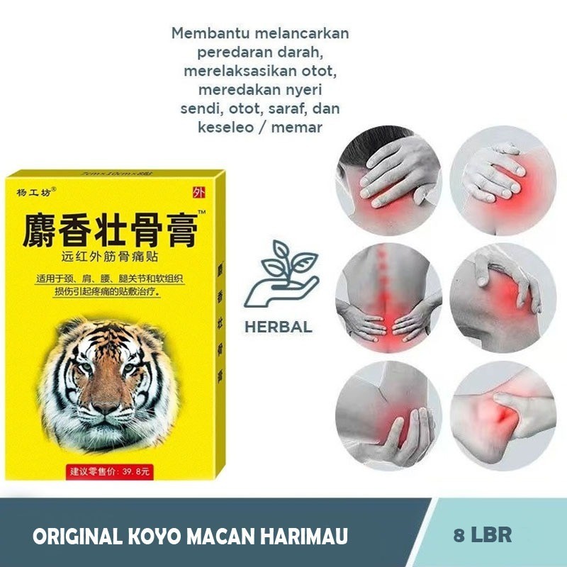 Jual Koyo Herbal Pereda Linu Sendi Nyeri Otot Bengkak Memar Pegal Lebam ...