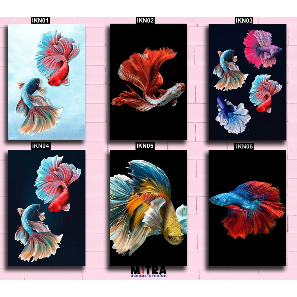 Jual Hiasan dinding Mitra design - Hiasan Dinding ikan Cupang Walldecor ...
