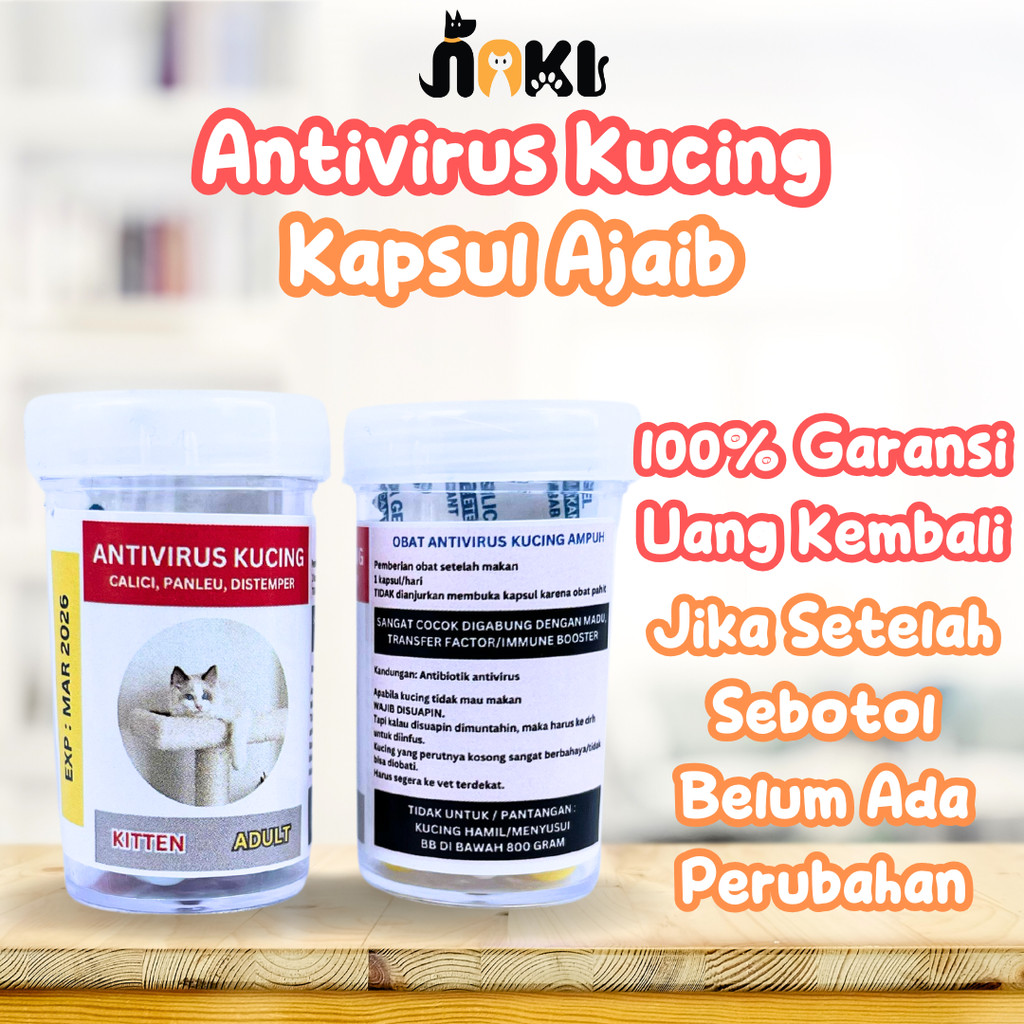 Jual OBAT ANTIVIRUS PANLEU, CALICI, DISTEMPER, FIP OBAT VIRUS KUCING ... Jual OBAT ANTIVIRUS PANLEU, CALICI, DISTEMPER, FIP OBAT VIRUS KUCING ...