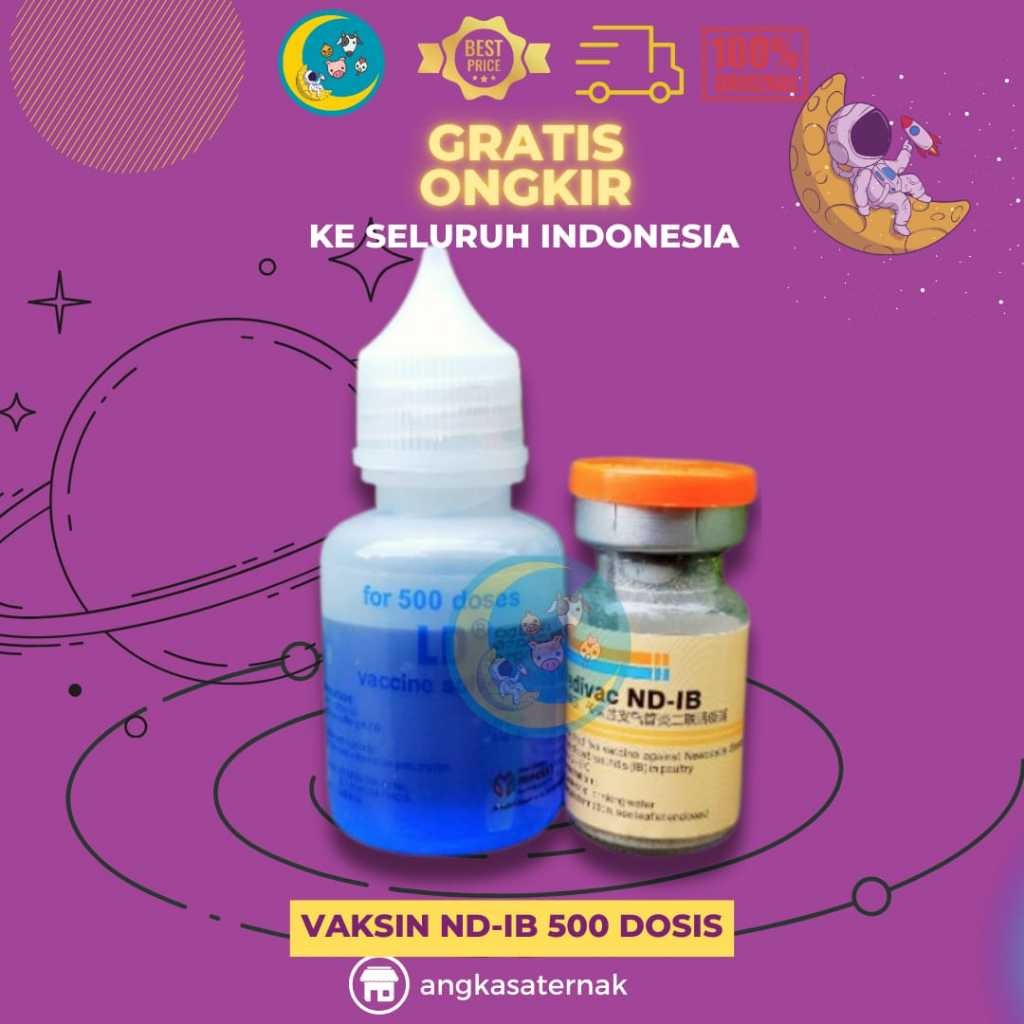 Jual MEDIVAC ND IB DOSIS 500 EKOR + PELARUT MEDIVAC MEDION - Telo ...