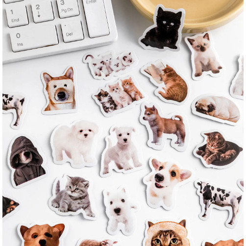 Jual Sticker Pack Isi 46 Lembar ANIMAL PET EDITION Deco Stickers Lucu ...