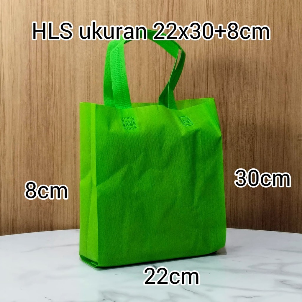 Jual (Lusinan)Tas Goodie Bag Spunbond dengan Handle 22x30 / Tas ...