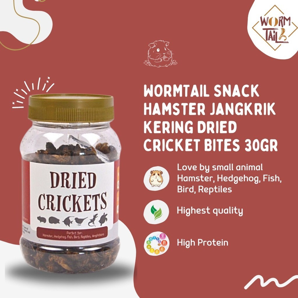 Jual WORMTAIL Snack Hamster Jangkrik Kering Dried Cricket Bites 30gr ...