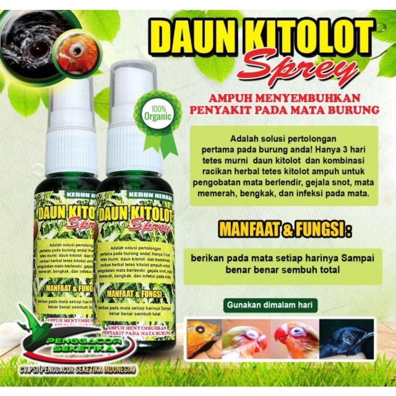 Jual BMW Daun Kitolot Spray 30ML Obat Vitamin Burung Anti Sakit Mata ...