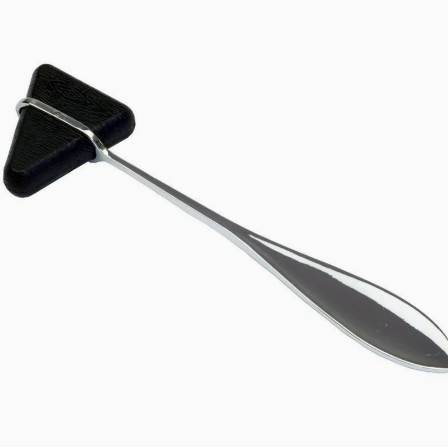 Jual Taylor Reflex Hammer Palu Refleks Perkusi Saraf Segitiga Taylor ...