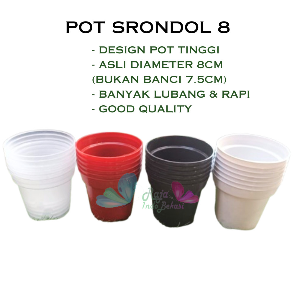 Jual Pot SRONDOL 8 cm HITAM PUTIH MERAH BATA COKLAT BENING TRANSPARAN ...