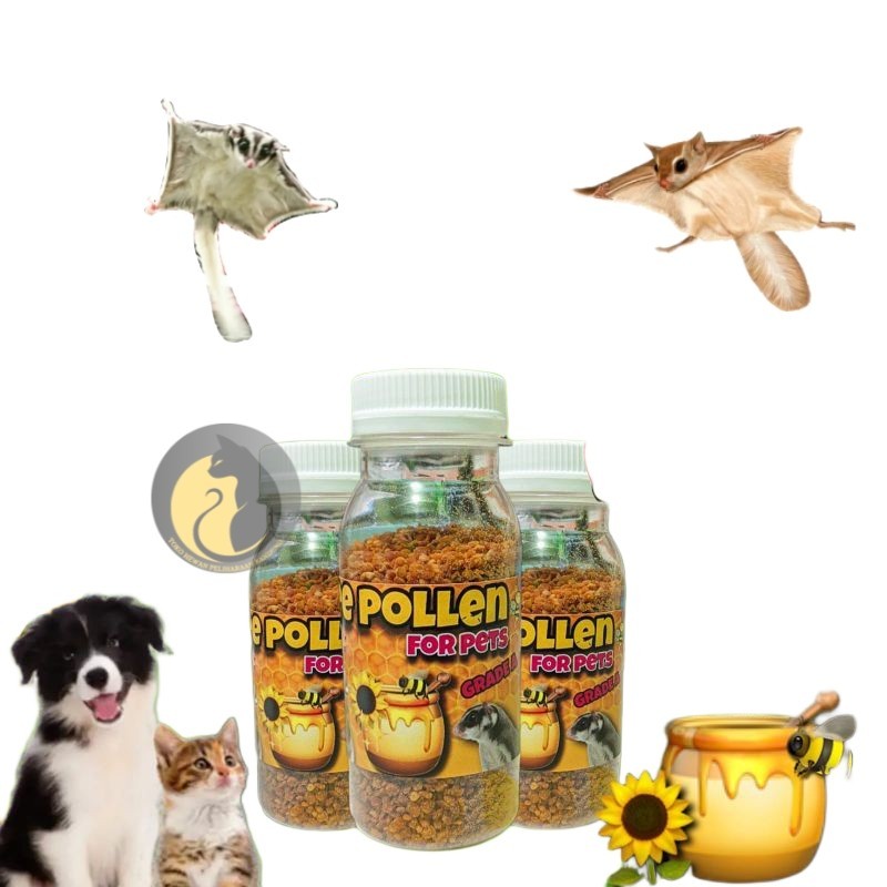 Jual Bee pollen vitamin alami sugar glider dan hamster banyak manfaat ...