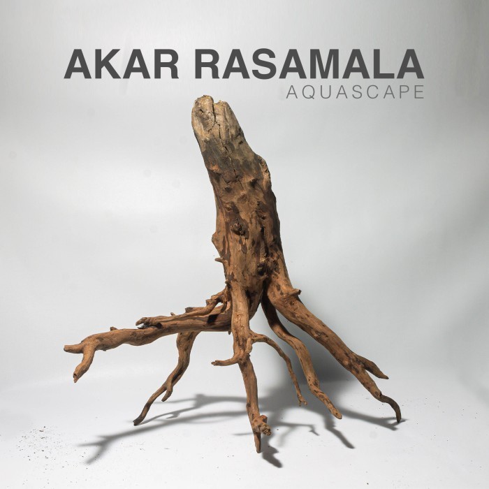 Jual Akar Kayu Rasamala Aquascape Aquarium | Shopee Indonesia