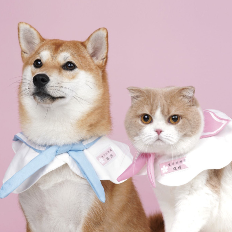 Jual PURLAB Pet Scarf School Uniform Pink | Shopee Indonesia