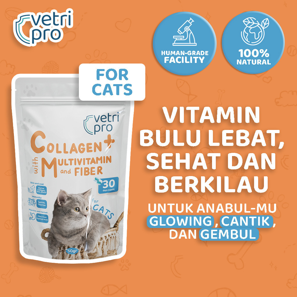 Jual VETRIPRO Vitamin Kucing Collagen Plus For Cat 30pcs | Shopee Indonesia