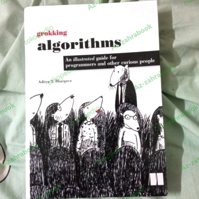 Jual Grokking Algorithms: An Illustrated Guide for Programmers | Shopee ...