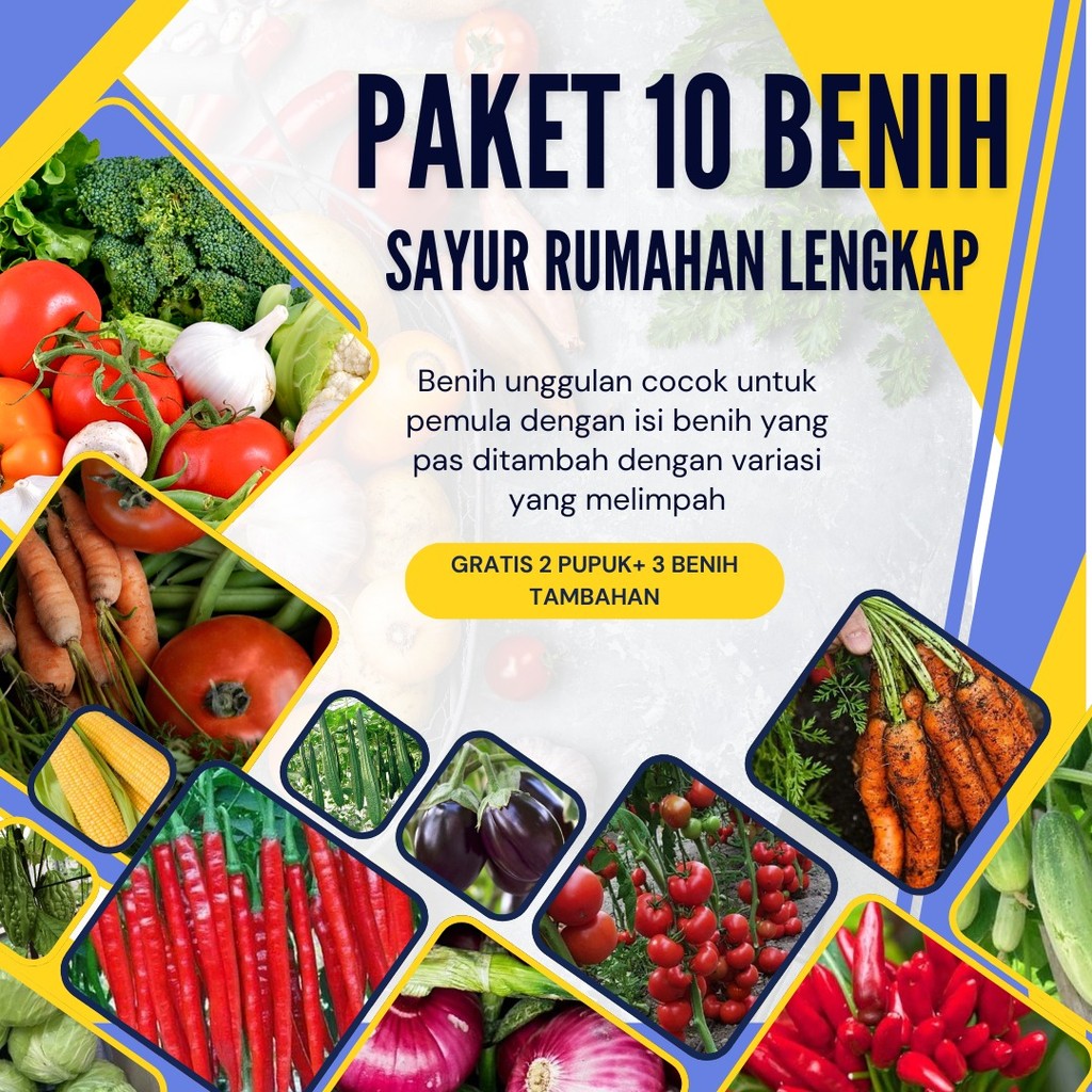 Jual Paket 10 Benih Sayuran Segar! Pilihan Terbaik untuk Kebun ...