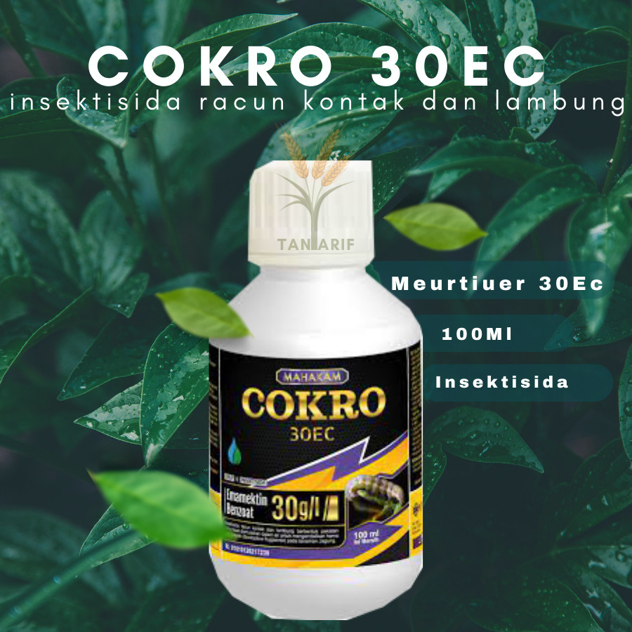 Jual Cokro 30 EC 100Ml || Insektisida || Pestisida Pembasmi Hama Tanaman Jagung || Racun Hama ...
