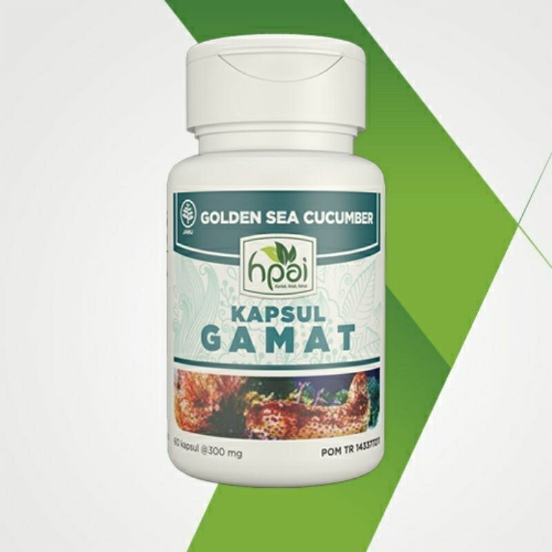 Jual Gamat Kapsul - Original HNI EXP 2025 H34LGOODS | Shopee Indonesia