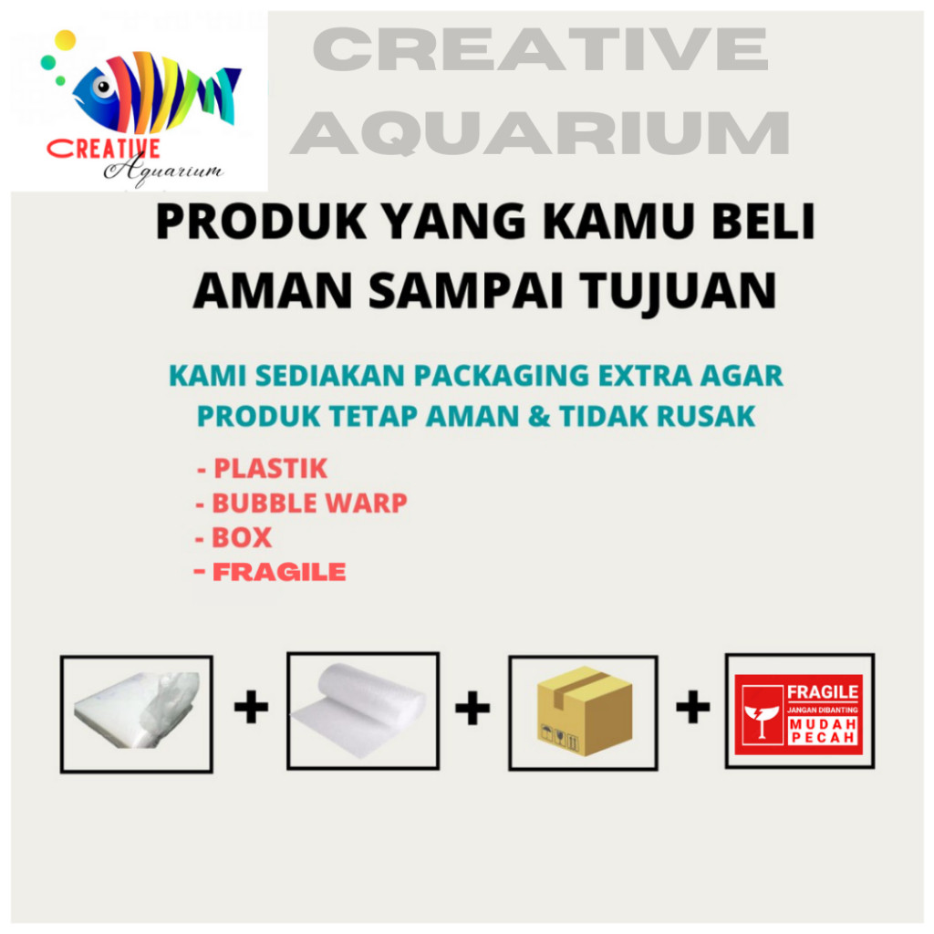 Jual AW38HS [ PROMO ] Aquarium ikan Cupang Soliter Akrilik Aquarium ...