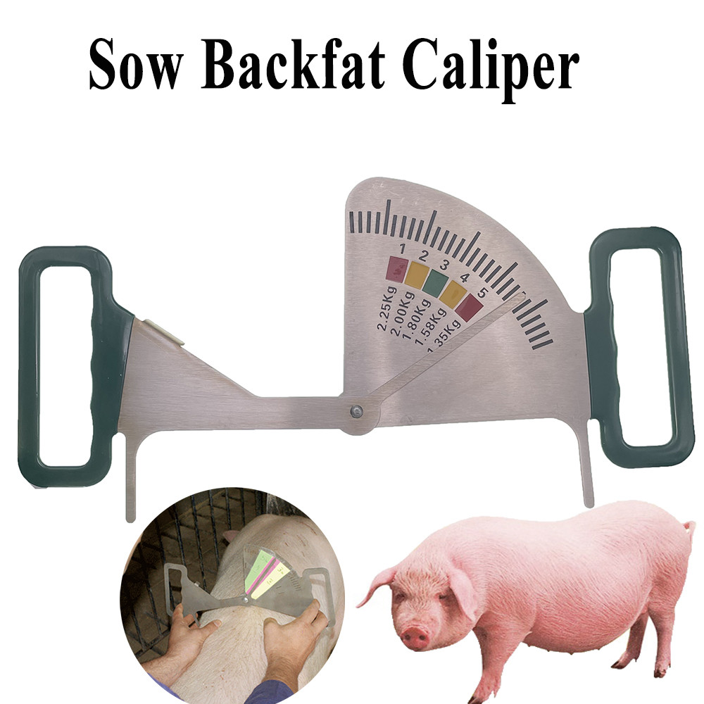 Jual 1PCS Sow Backfat Caliper Scale Determination Feeding Management ...