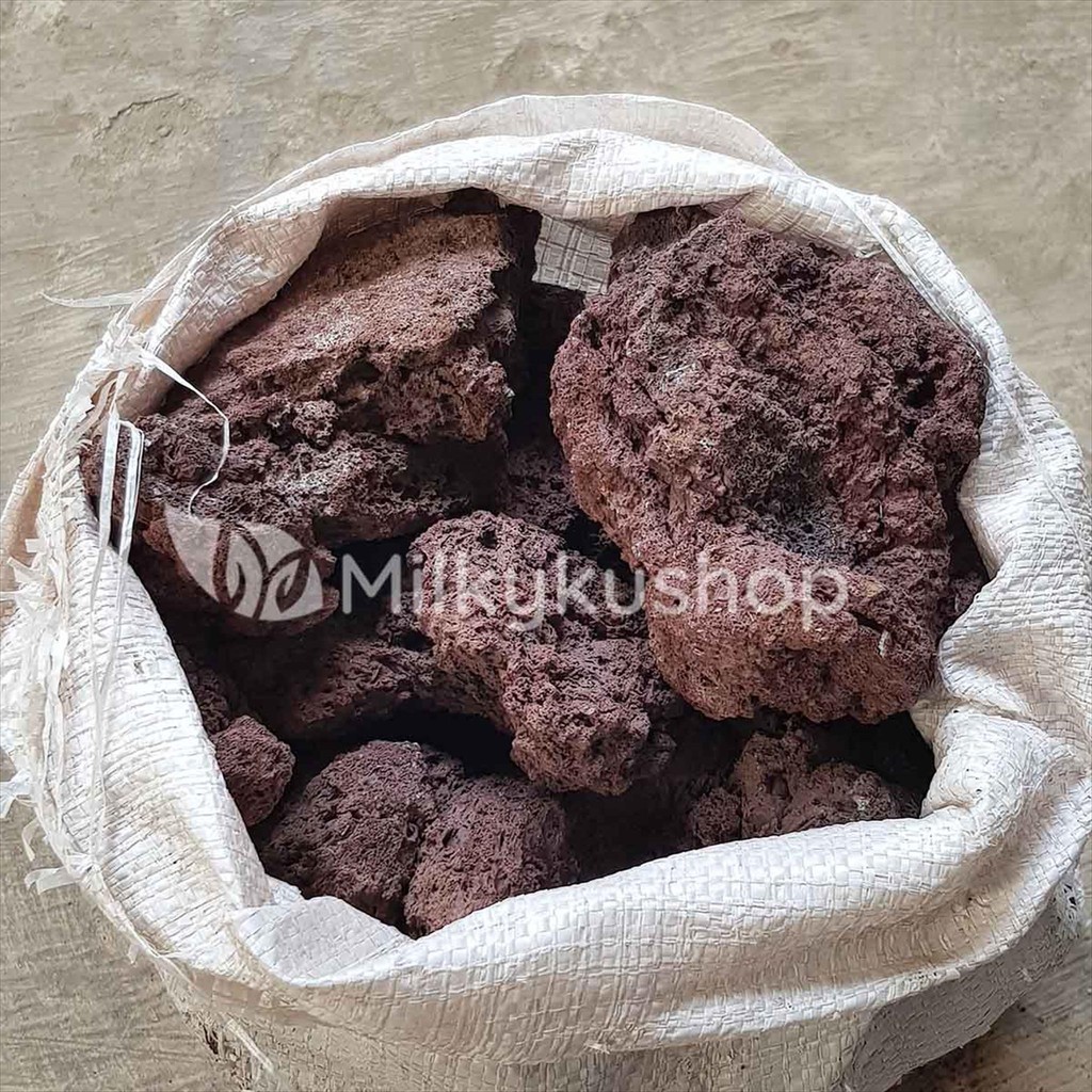 Jual BATU LAVA ROCK MERAH BESAR - HIAS TAMAN AQUASCAPE VIA GOSEND GRAB ...