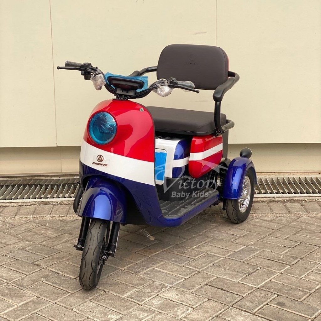 Jual SEPEDA MOTOR LISTRIK RODA TIGA\\EBIKE MAXIMUS BISA MUAT 3 ORANG ...