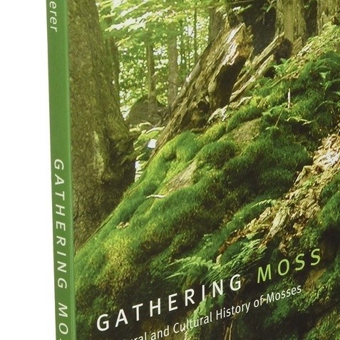 Jual Buku Gathering Moss by Robin Wall Kimmerer | Shopee Indonesia