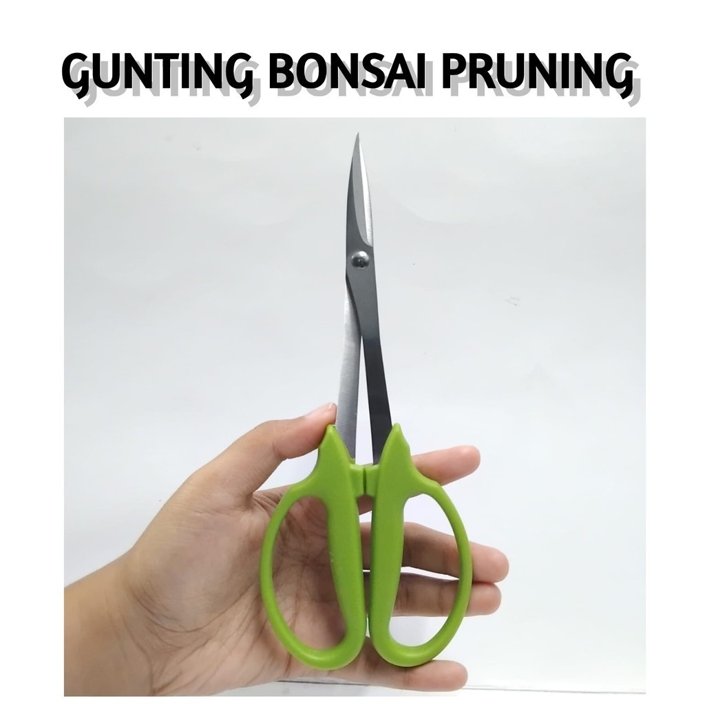 Jual Gunting Bonsai Pruning Daun Akar Batang Dahan Ranting Pohon ...