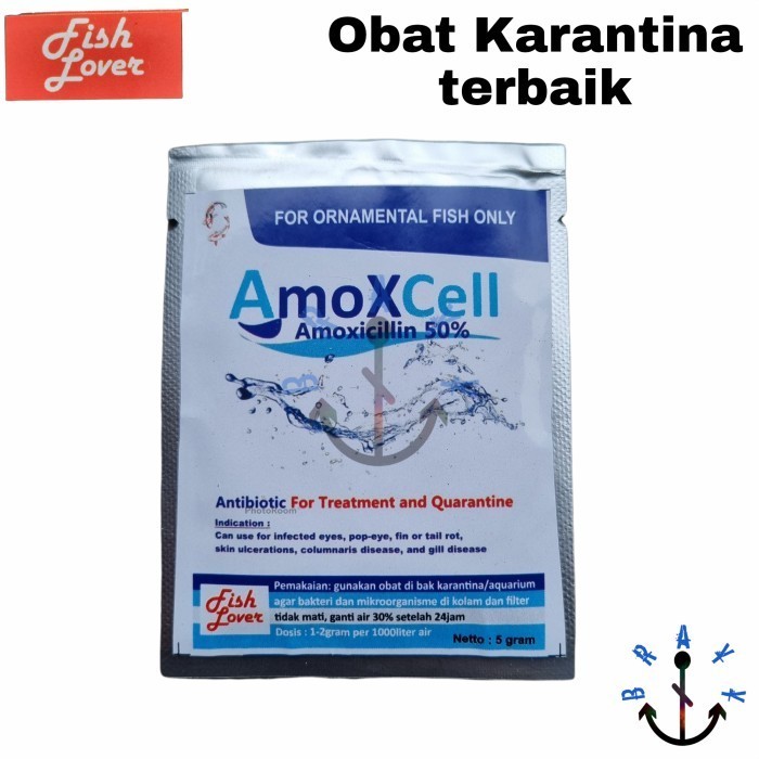 Jual Amoxcell Obat Karantina Antibiotik Amoxcell 5gr amoxicillin 50% ...