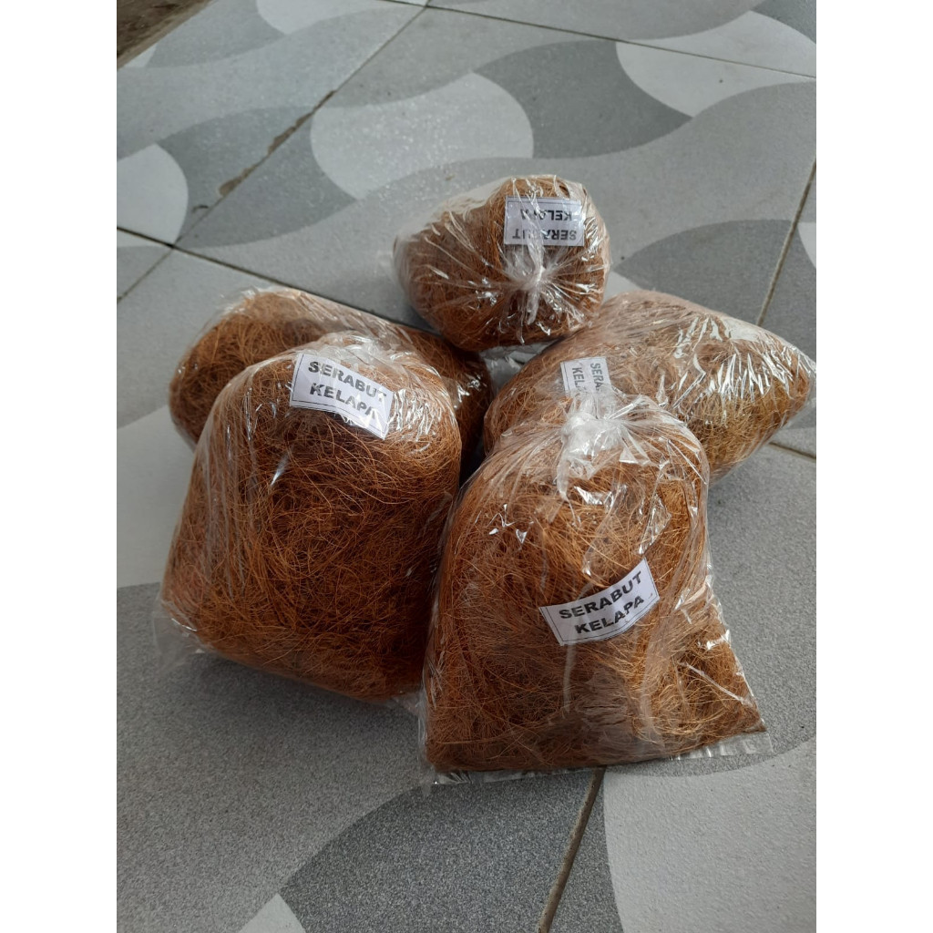 Jual JUAL SERAT KELAPA SUSUH KELAPA 1PAK ISI 20PCS SERABUT KELAPA ASLI ...
