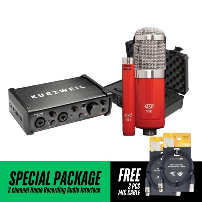 Jual Paket Promo 2 Channel Home Recording Audio Interface With Dual ...