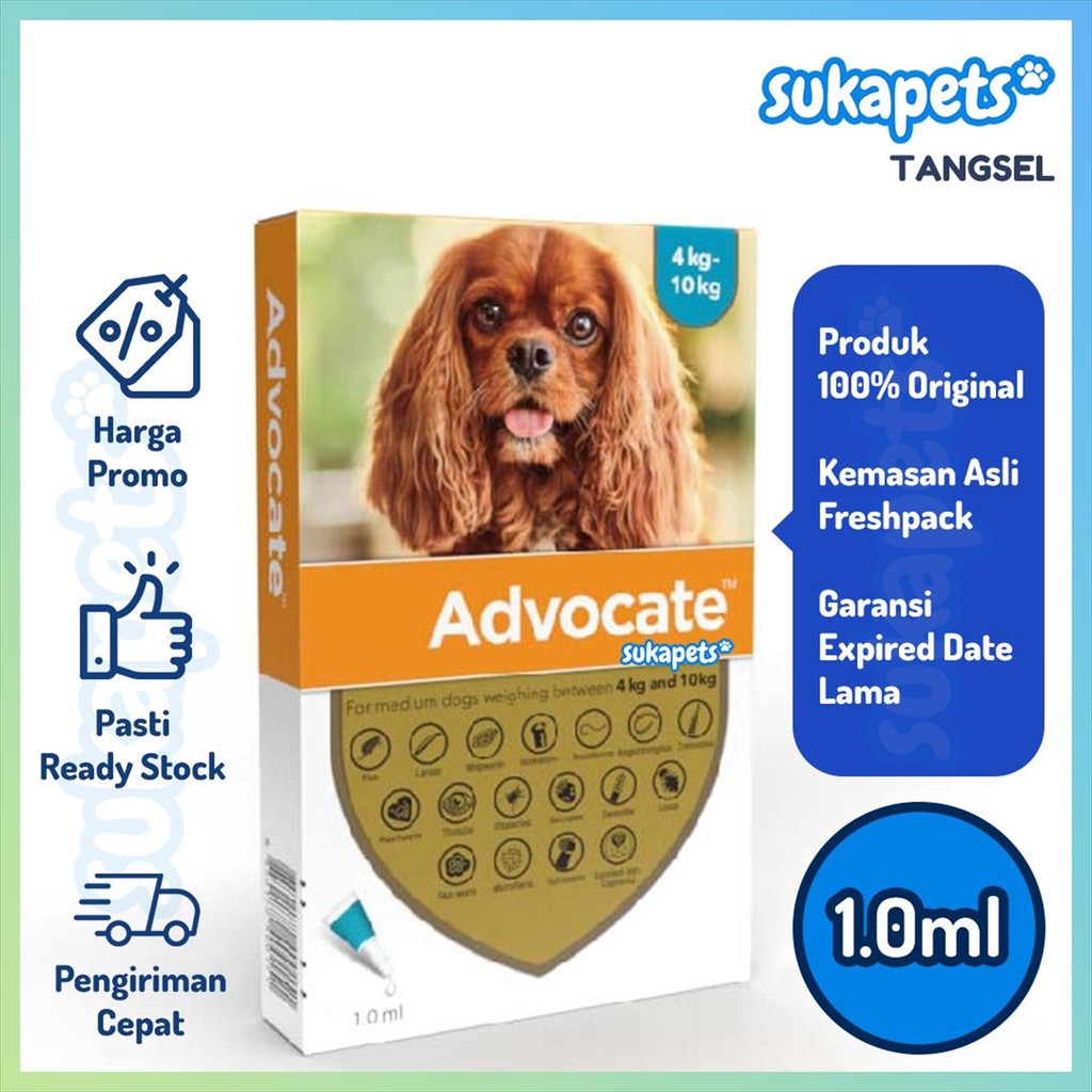 Jual Advocate Dog Obat Kutu Anjing M Berat Badan 4kg Sampai 10kg 1 ...